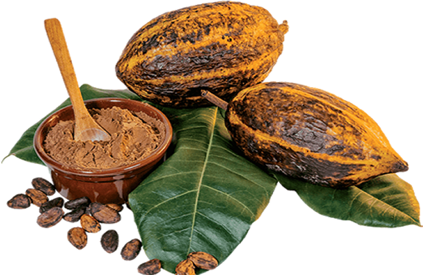 The Tutolin Company – The Tutolin Company